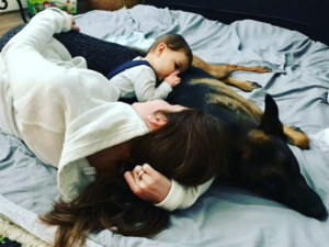 Protection Dogs For Sale | Scott's K9