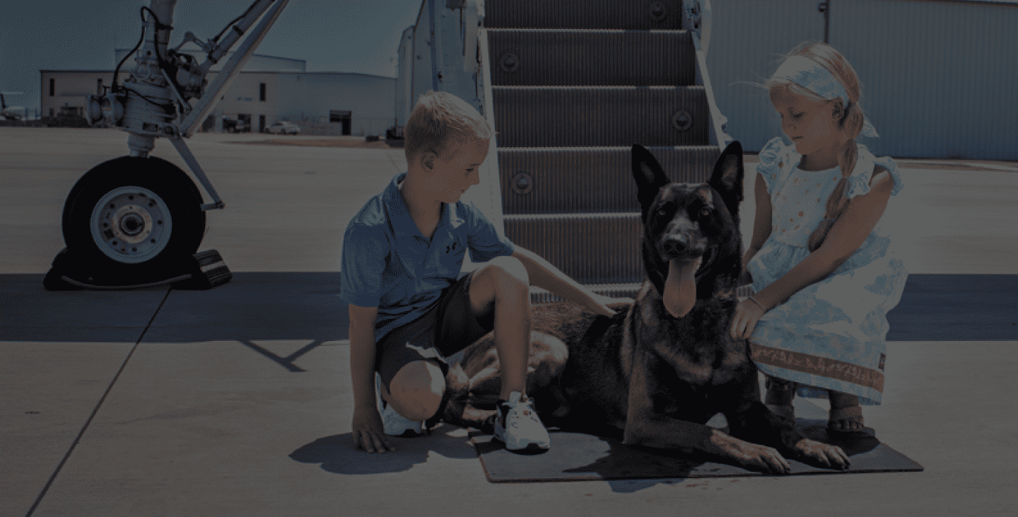 About Us - Scott's K9 Protection Dogs