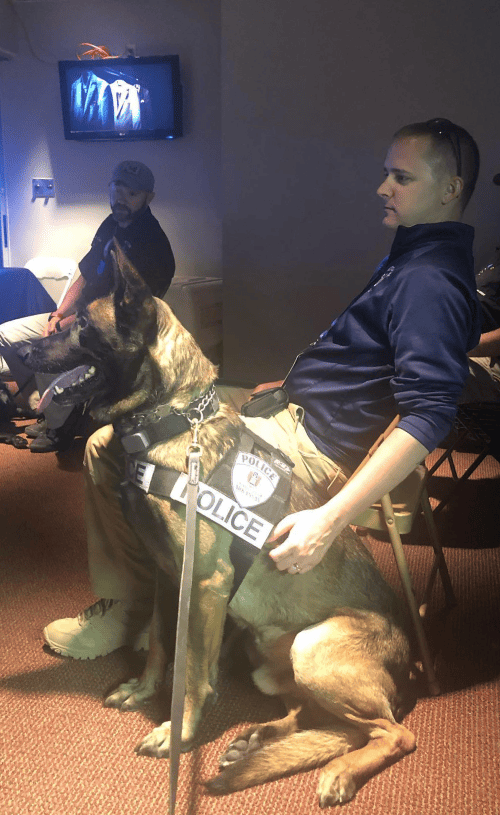 About Us - Scott's K9 Protection Dogs